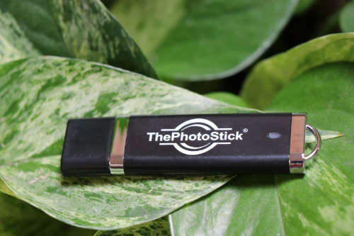 Photo Stick vs InfinitiKloud In-Depth Comparison Guide 2020