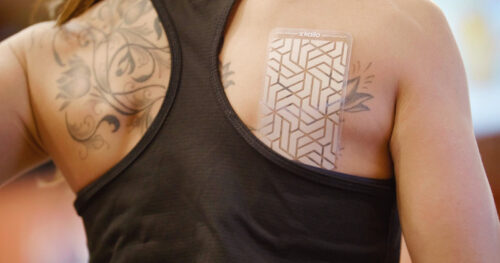 Kailo vs Kailo Flex - Which Patch Is Best for You