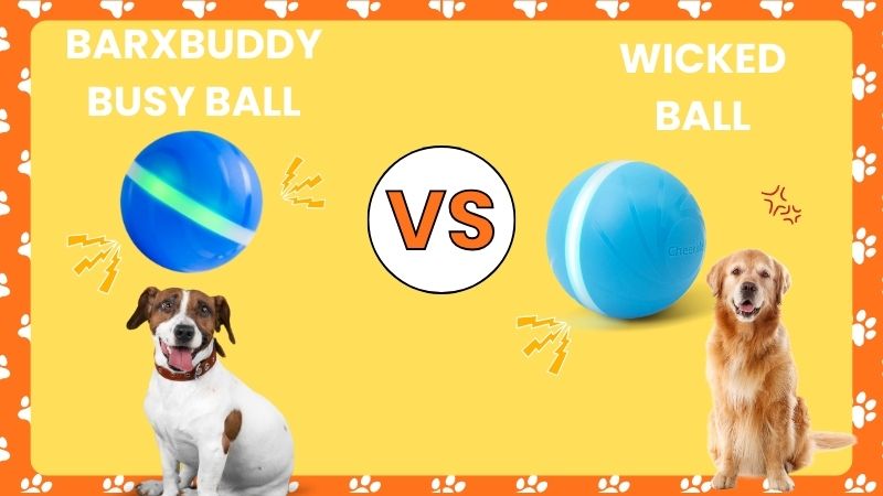 BarxBuddy Busy Ball vs Wicked Ball Comparison Guide for 2025